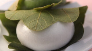 17 Must-Try Traditional Japanese Sweets (Wagashi) | Let's DANGO
